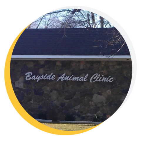Meet Our Team | Dr. Fitz’s Bayside Animal Clinic